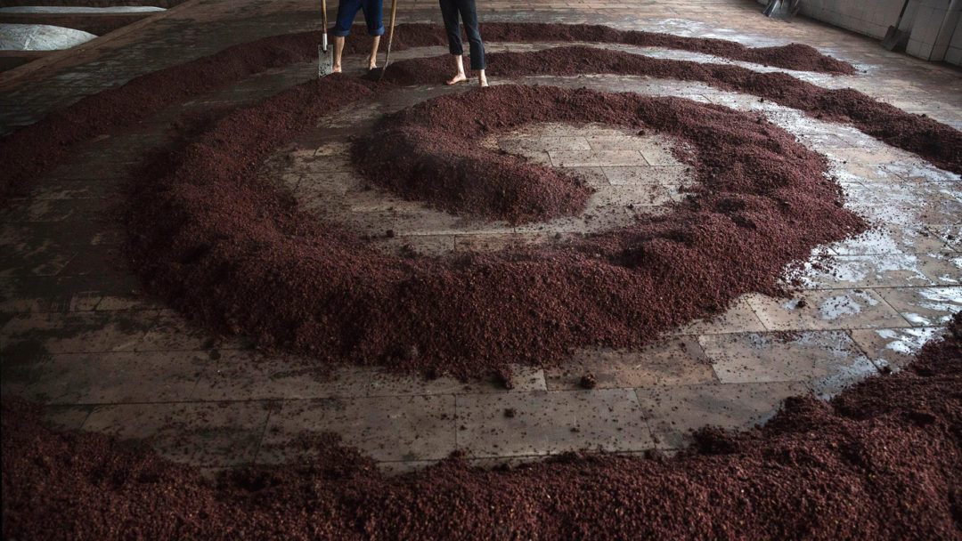 The Unique Production Process - Kweichow Moutai